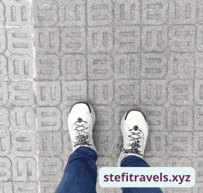 The history behind Barcelona’s famous flower symbol - the panot | Stefi ...